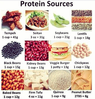 Are beans in the protein group?