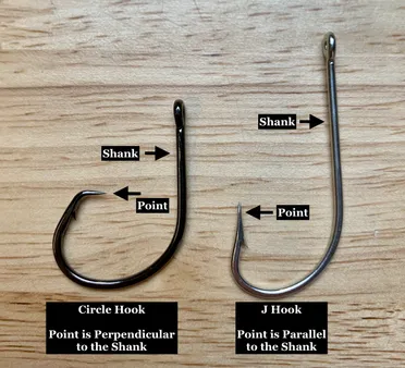 Are circle hooks better than regular hooks?
