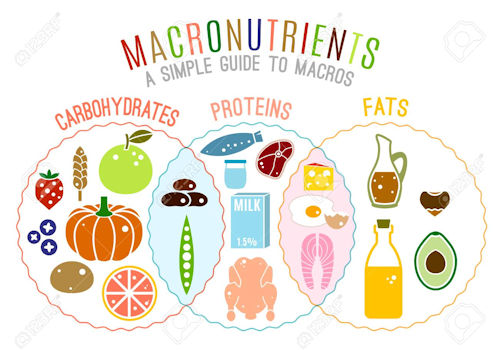 Are fats good for endurance athletes?