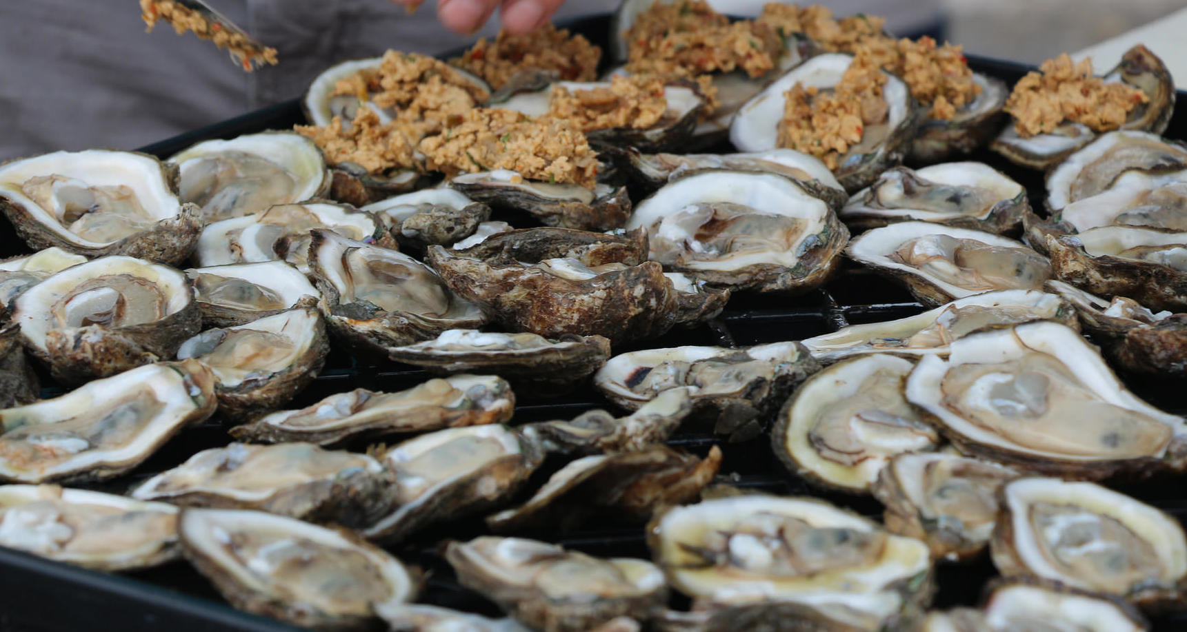 Are Gulf Coast oysters safe to eat?