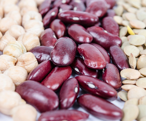 Are lectins heat sensitive?