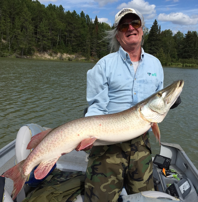 Are muskie native to Ontario?