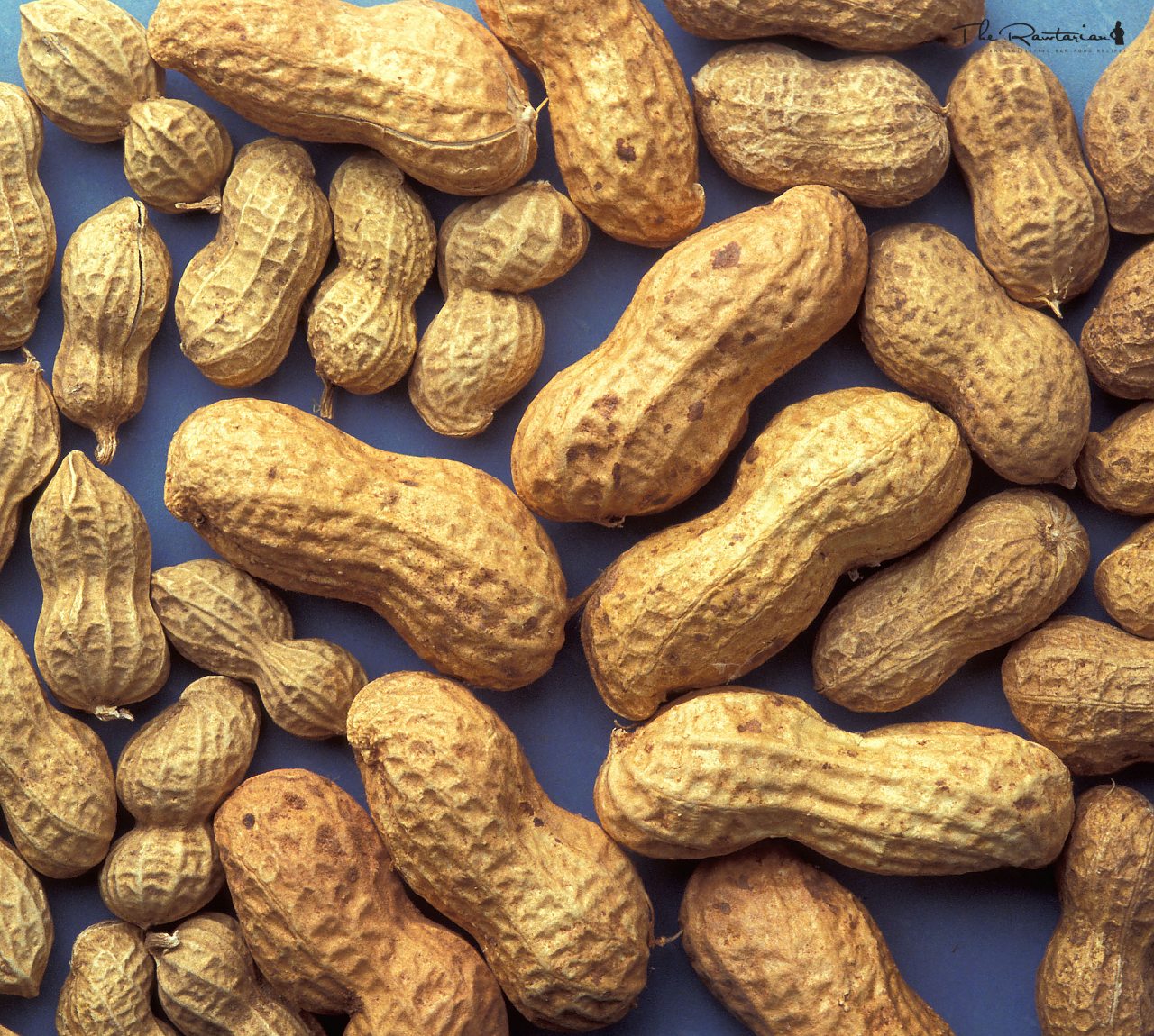 Are peanuts raw?