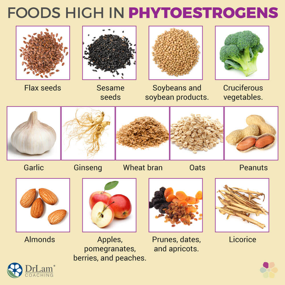 Are phytoestrogens good for estrogen dominance?