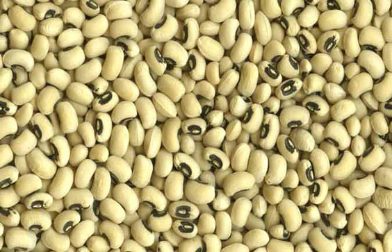 Are pigeon peas and black eyed peas the same thing?