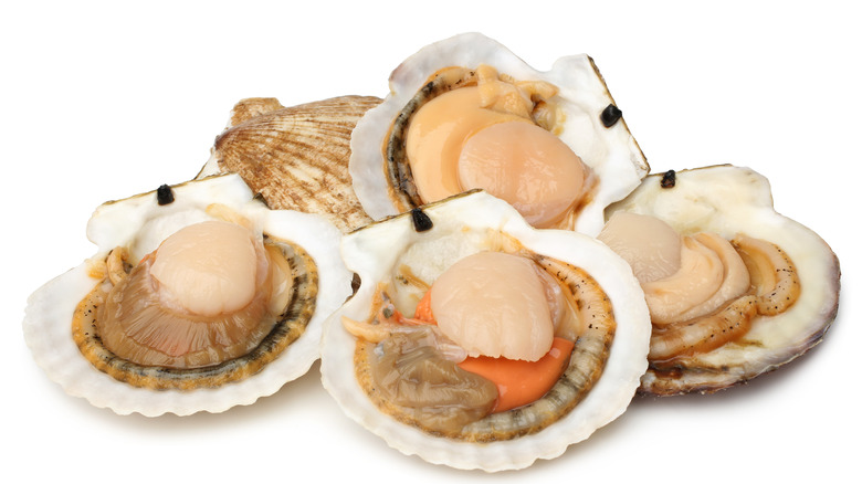 Are scallops wild caught or farm raised?