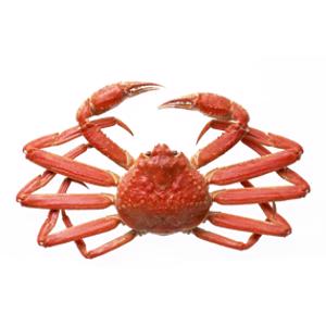 Are snow crabs low carb?