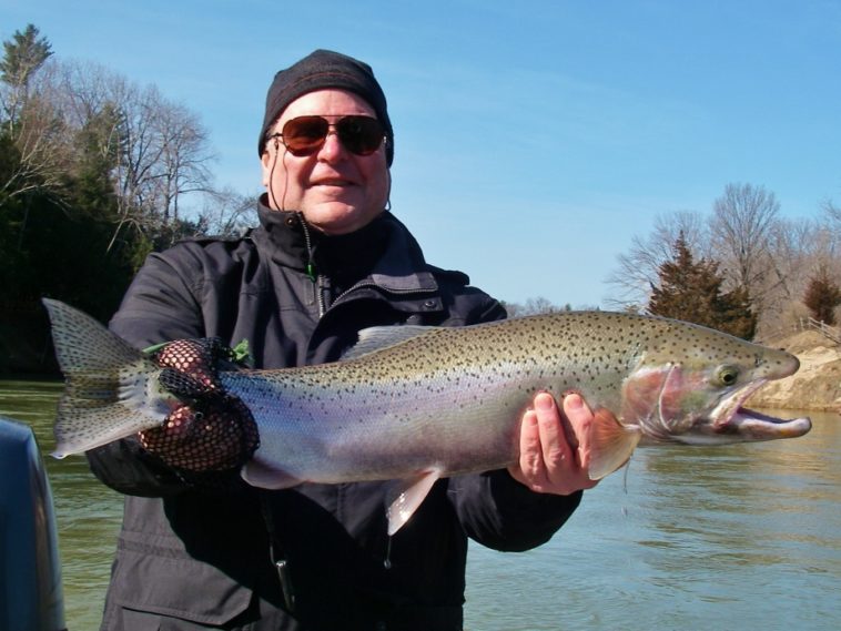 Are steelhead trout good eating?