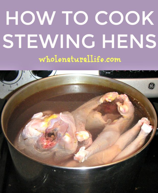 Are stewing hens good eating?