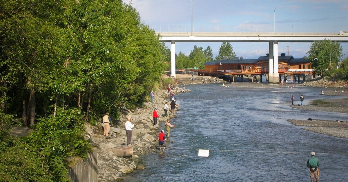 Are the salmon running in Ship Creek?