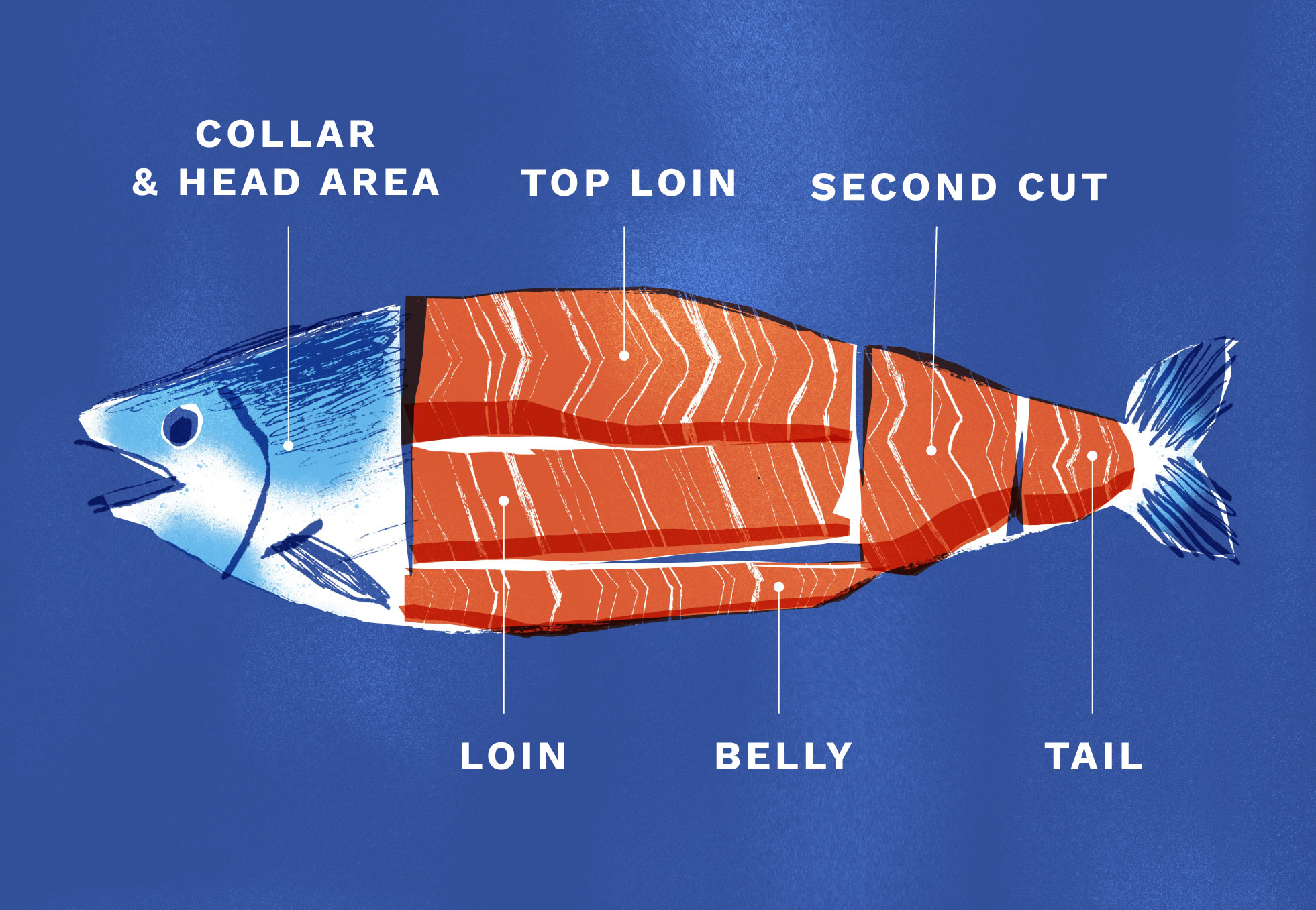 Are there different salmon cuts?