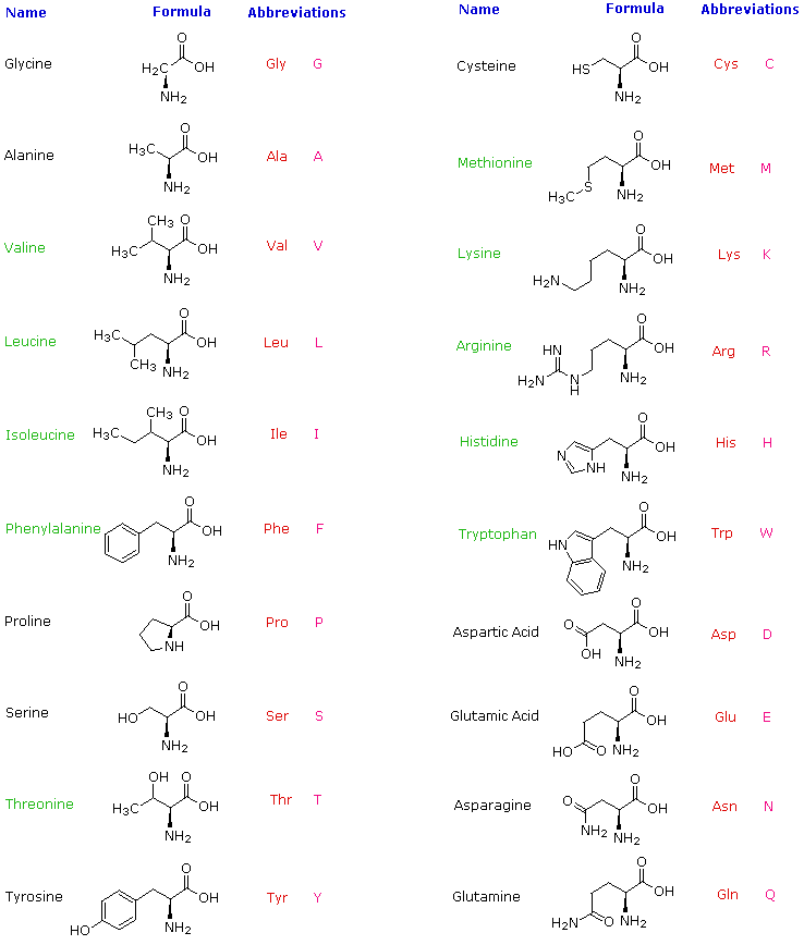 Are there naturally occurring amino acids?