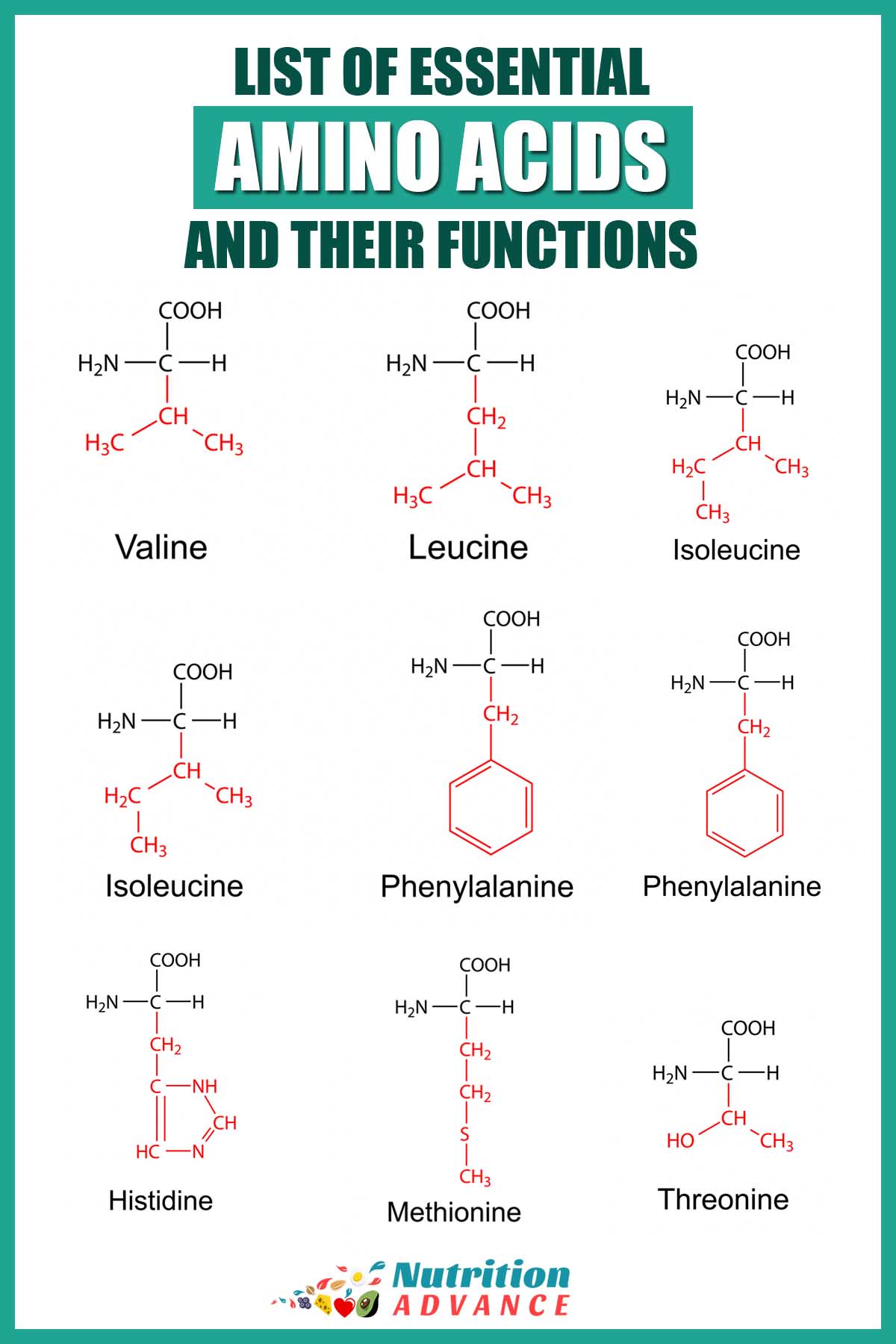 Are there only 8 essential amino acids?