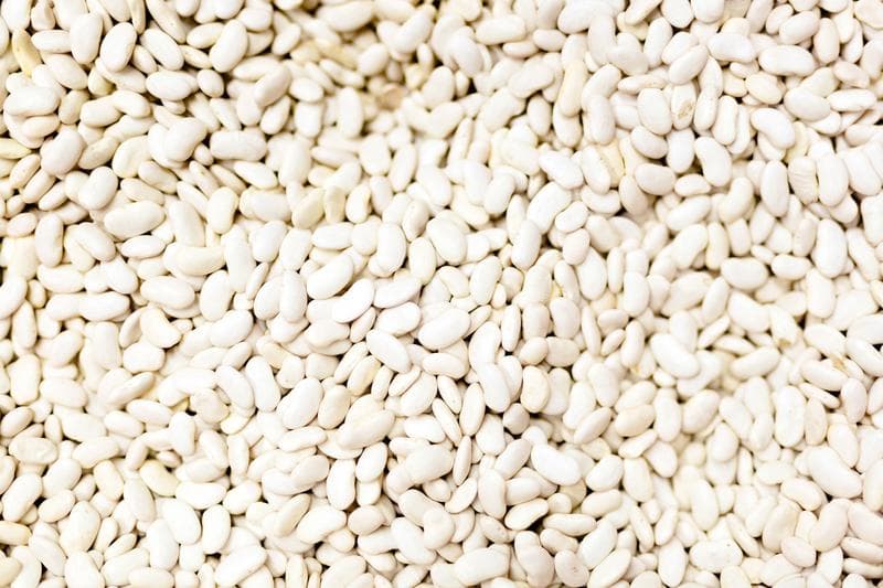 Are white navy beans keto?