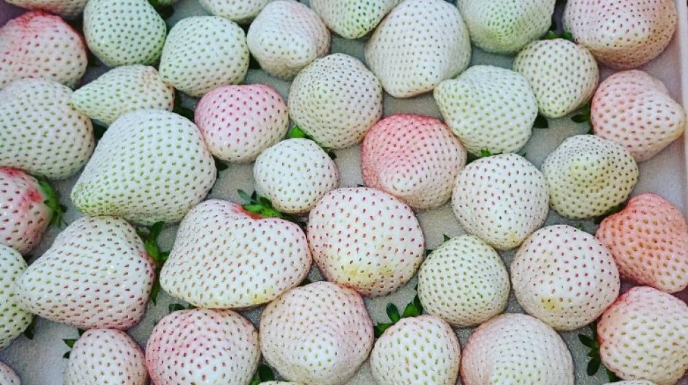 Are white strawberry rare?