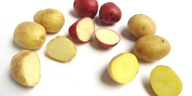 Are Yukon Gold and Russet potatoes the same?