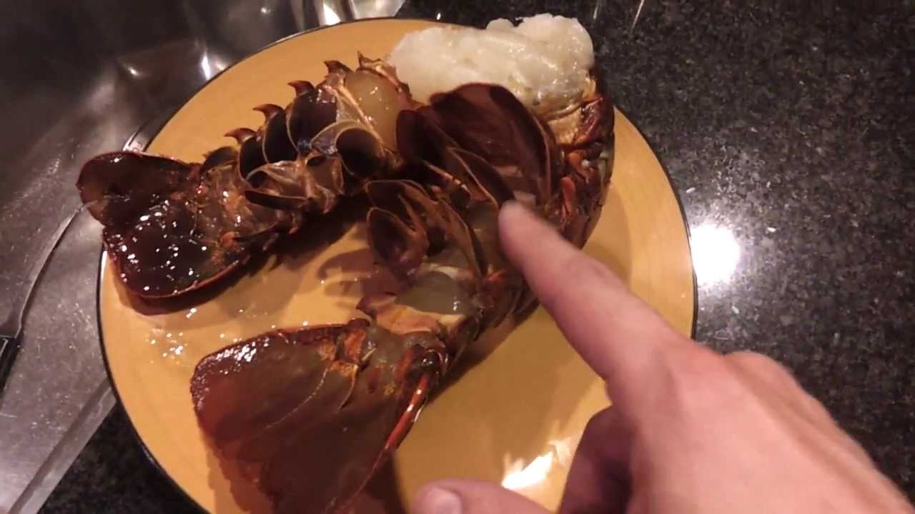 Can a frozen lobster come back to life?