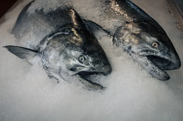 Can bacteria grow in frozen fish?