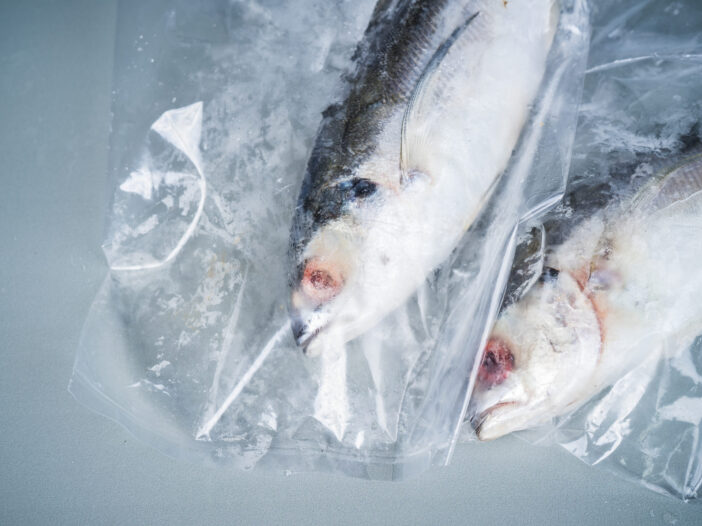 Can bacteria grow in vacuum sealed fish?