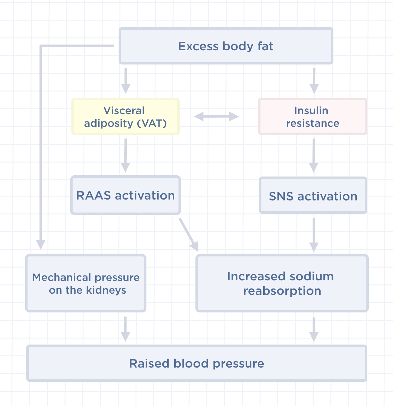 Can being overweight make your blood pressure go up?