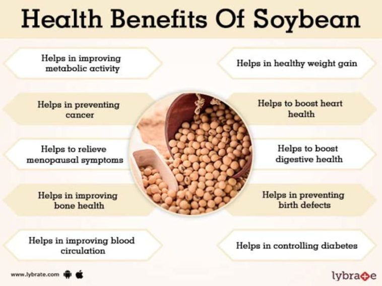 Can eating soy cause weight gain?
