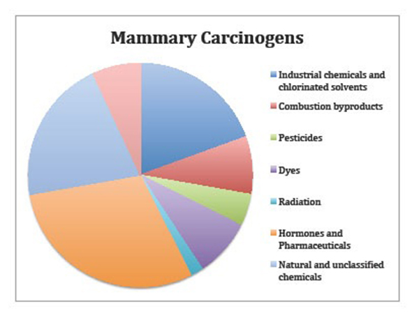 Can environmental toxins cause breast cancer?