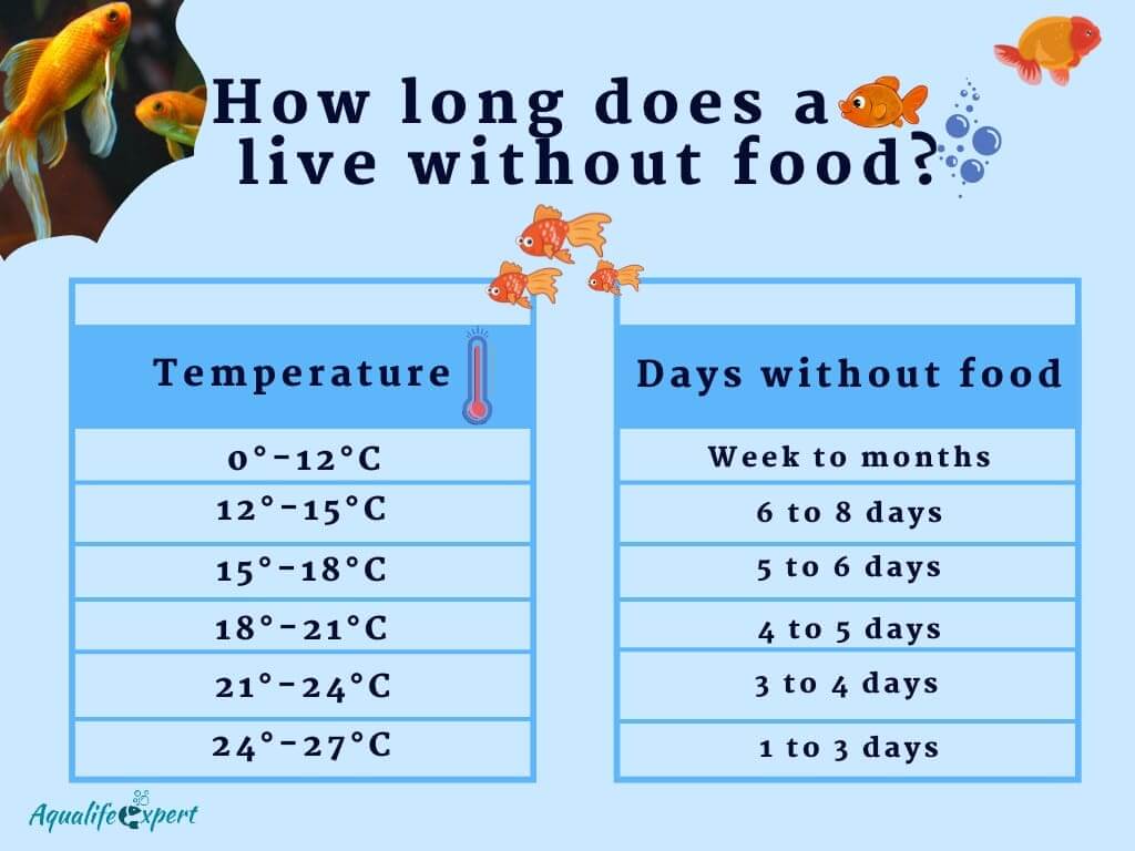 Can fish go 5 days without food?