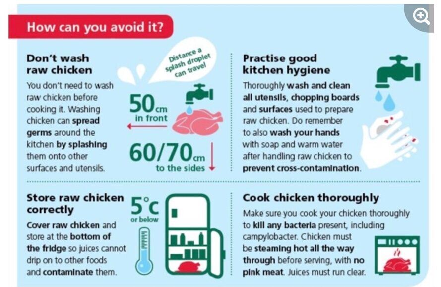 Can food poisoning bacteria survive during cooking?