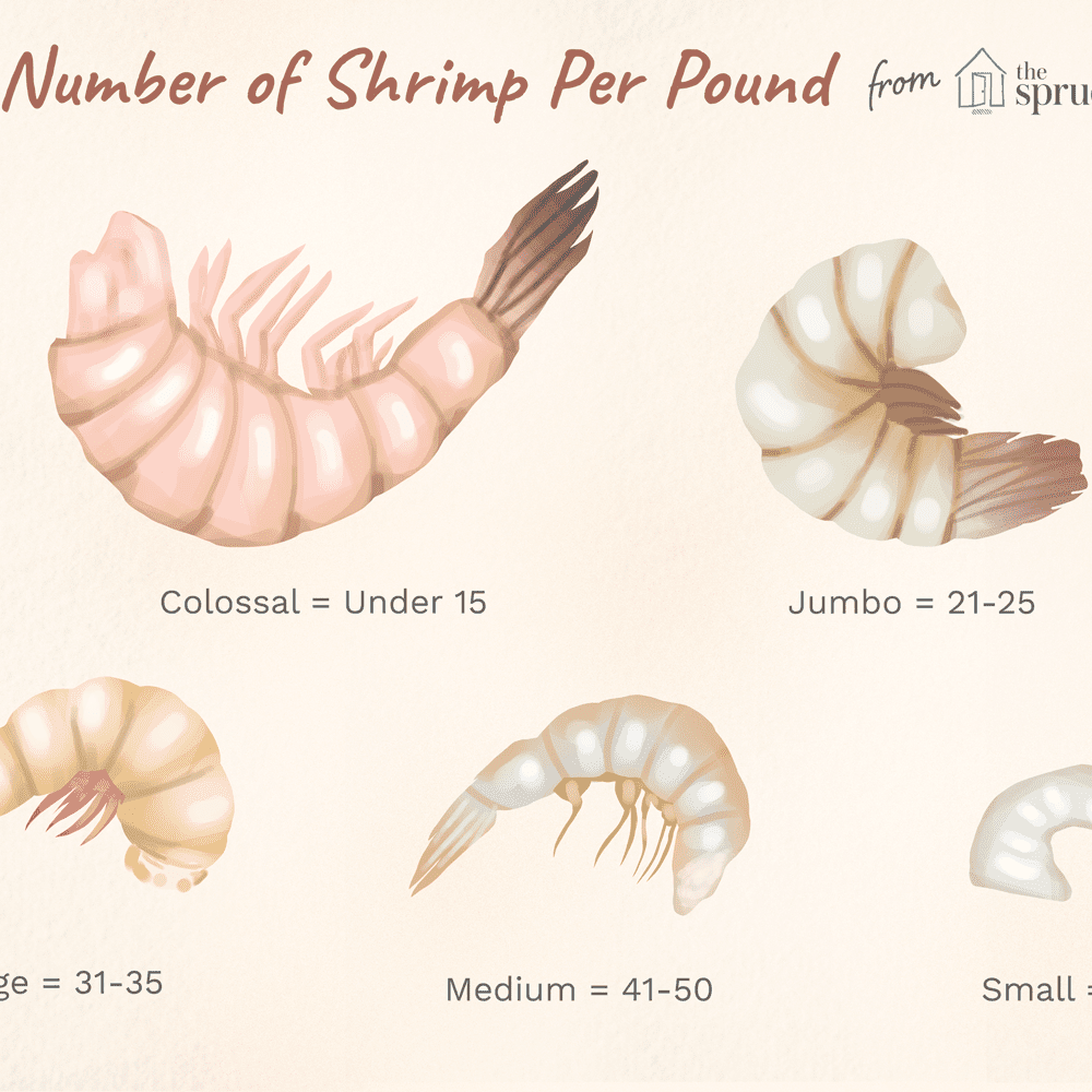 Can I eat a pound of shrimp?