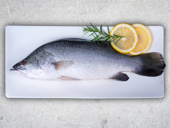 Can I eat barramundi while pregnant?