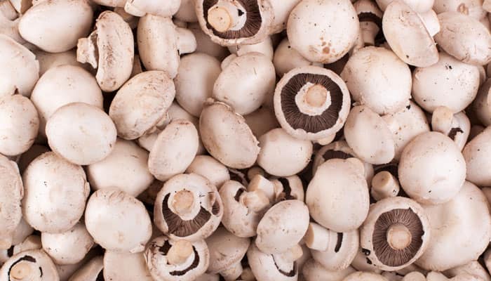 Can I eat canned mushrooms everyday?