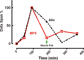 Can I eat protein every 2 hours?