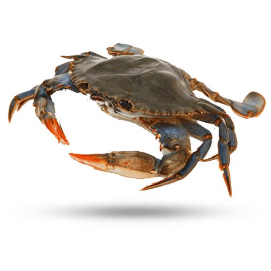 Can I eat steamed crabs on keto?