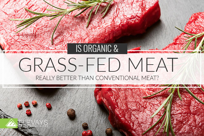 Can Meat really be organic?