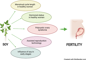 Can soy isoflavones delay period?