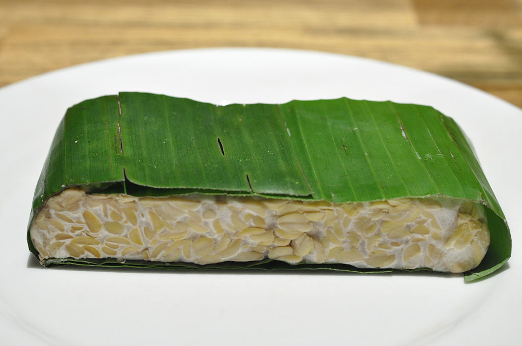 Can tempeh give you food poisoning?