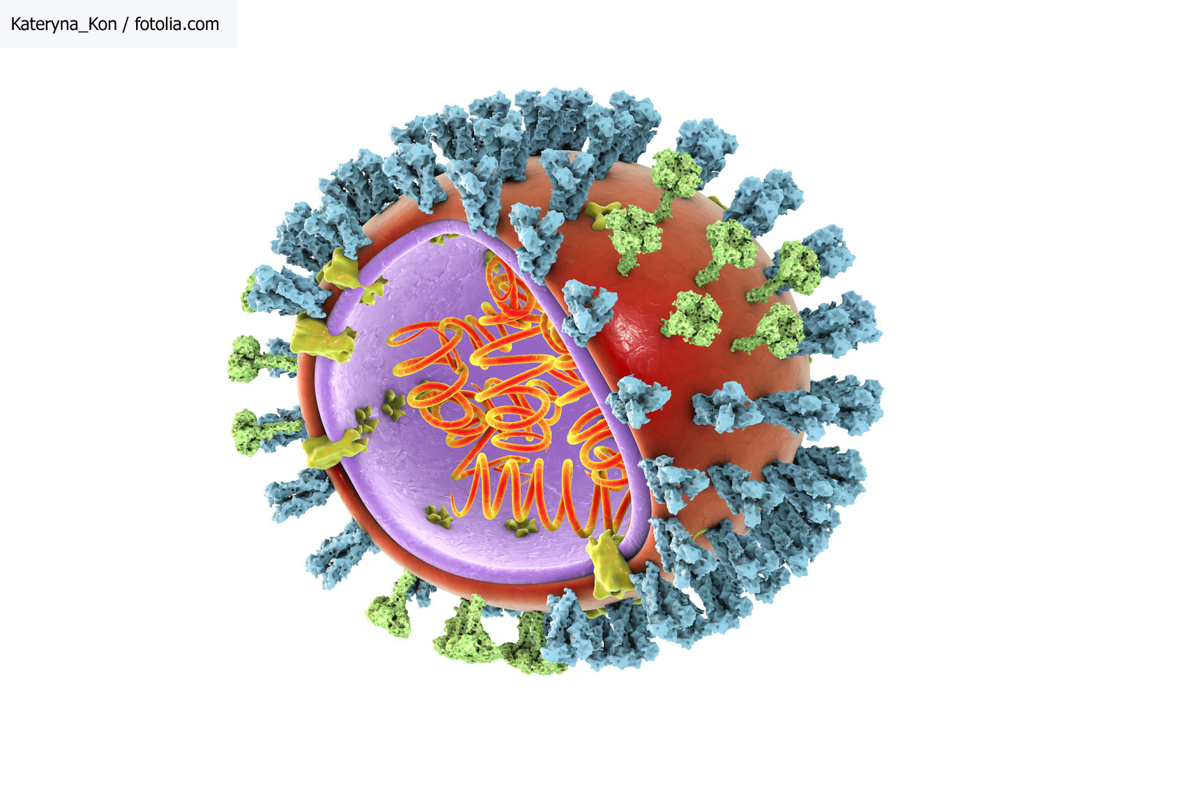 Can the influenza virus be killed by freezing?