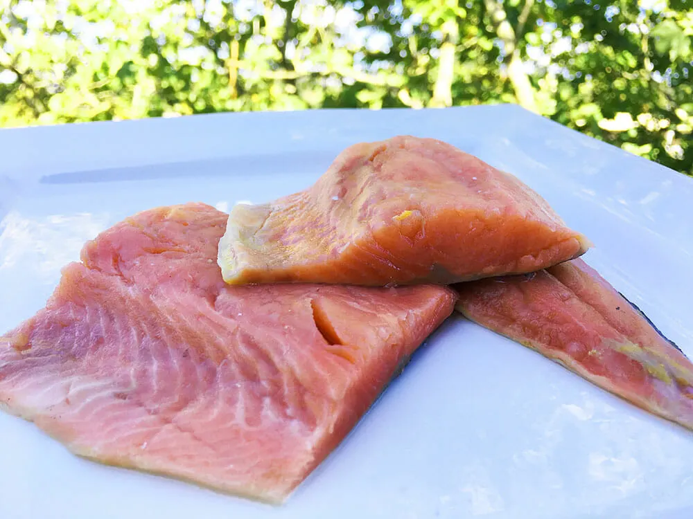 Can you dehydrate frozen salmon?
