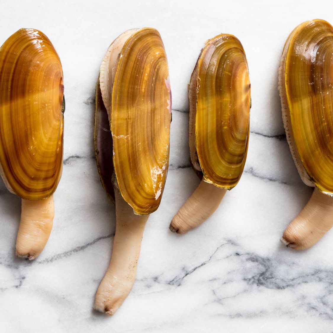 Can you eat a dead razor clam?