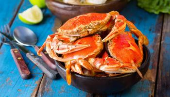Can you eat Alaskan King Crab Raw?