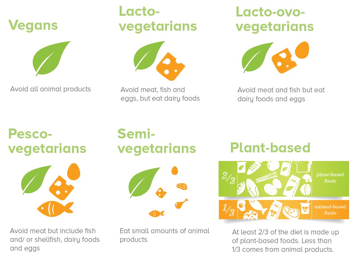 Can you eat animal products in a plant-based diet?