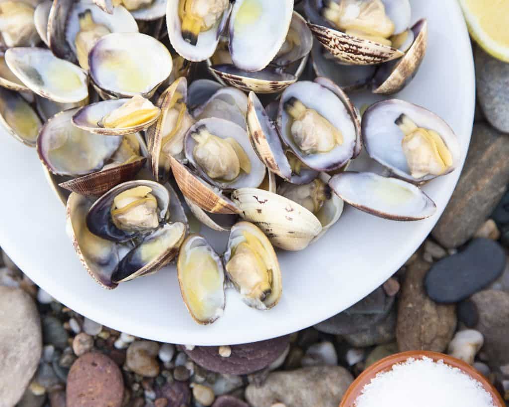 Can you eat canned clams when pregnant?