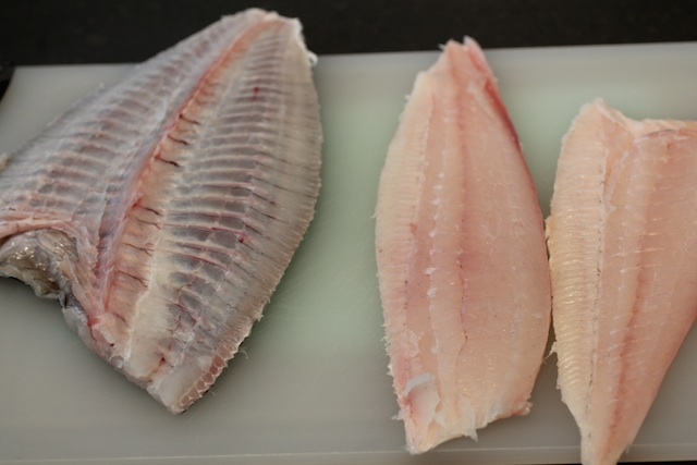 Can you eat Fluke?