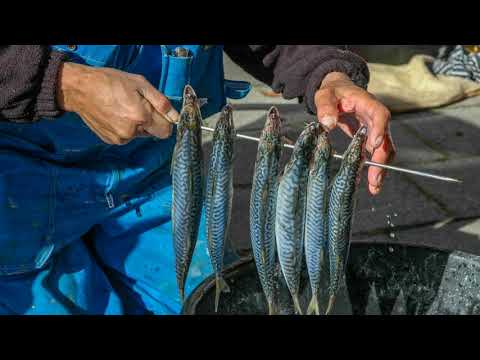 Can you eat smoked fish out of date?