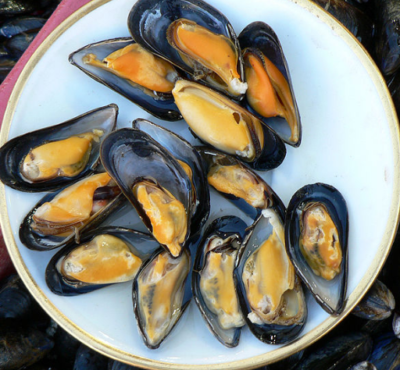 Can you freeze and defrost mussels?