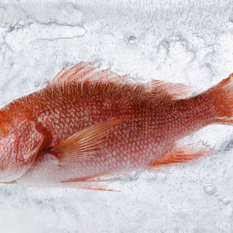 Can you freeze cooked fish that was previously frozen?