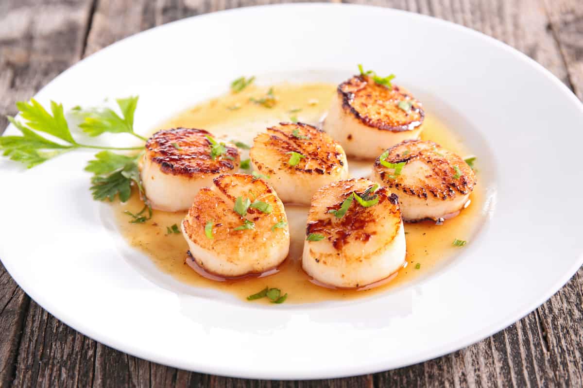 Can you freeze cooked scallops and shrimp?