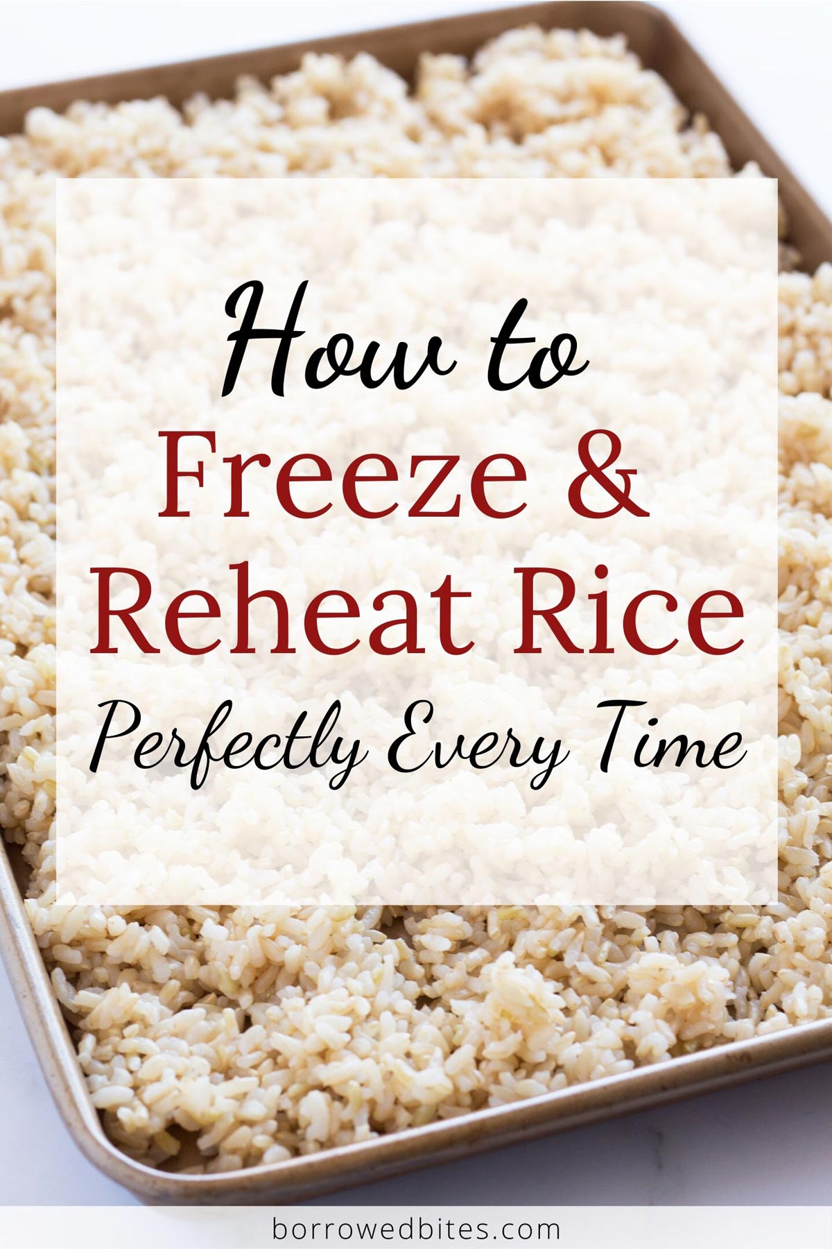 Can you freeze leftover cooked rice?