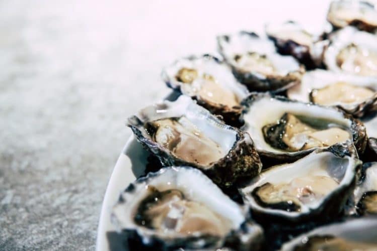 Can you freeze shellfish stock?