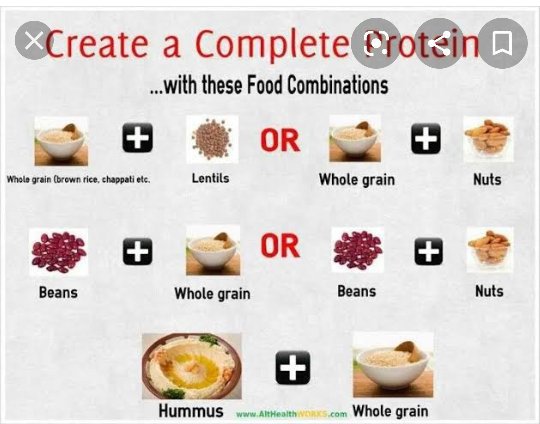Can you get a complete protein from vegetable sources?